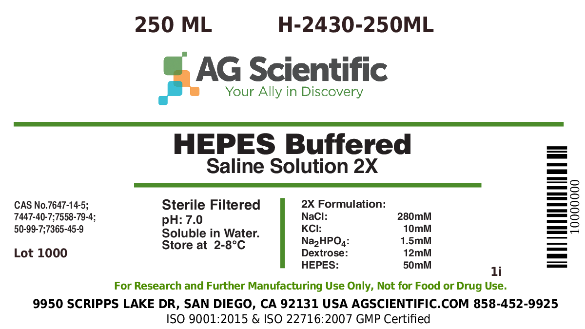 H-2430-250ML - HEPES Buffered Saline Solution 2X, 250 ML