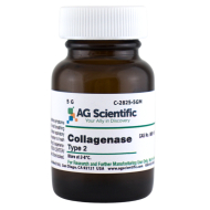 Collagenase Enzymes: History, Applications, and Mechanisms of Action