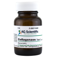 Collagenase Enzymes: History, Applications, and Mechanisms of Action