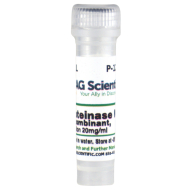 Frequently Asked Questions About Proteinase K